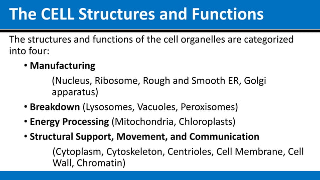 PPT1 Cell Theory, Structure and Function.pdf