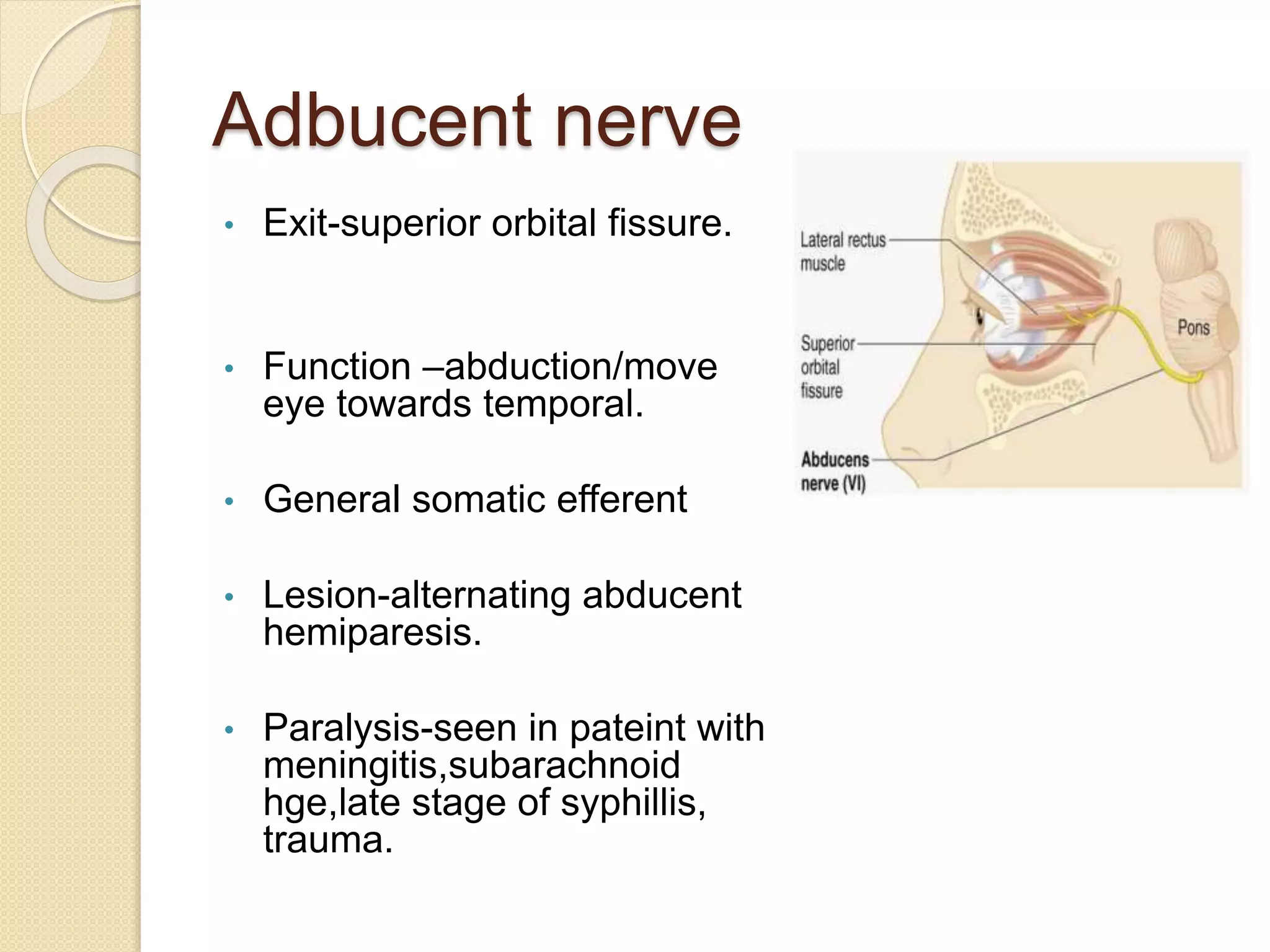 anatomy of cranial nerves and its medicolegal importance | PPTX