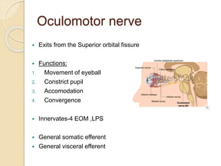 anatomy of cranial nerves and its medicolegal importance | PPT