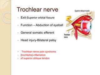 anatomy of cranial nerves and its medicolegal importance | PPT