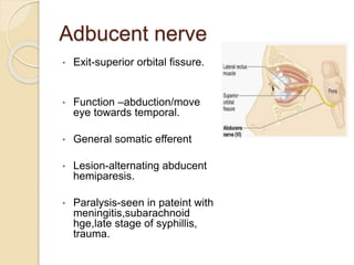 anatomy of cranial nerves and its medicolegal importance | PPT