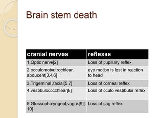 anatomy of cranial nerves and its medicolegal importance | PPT