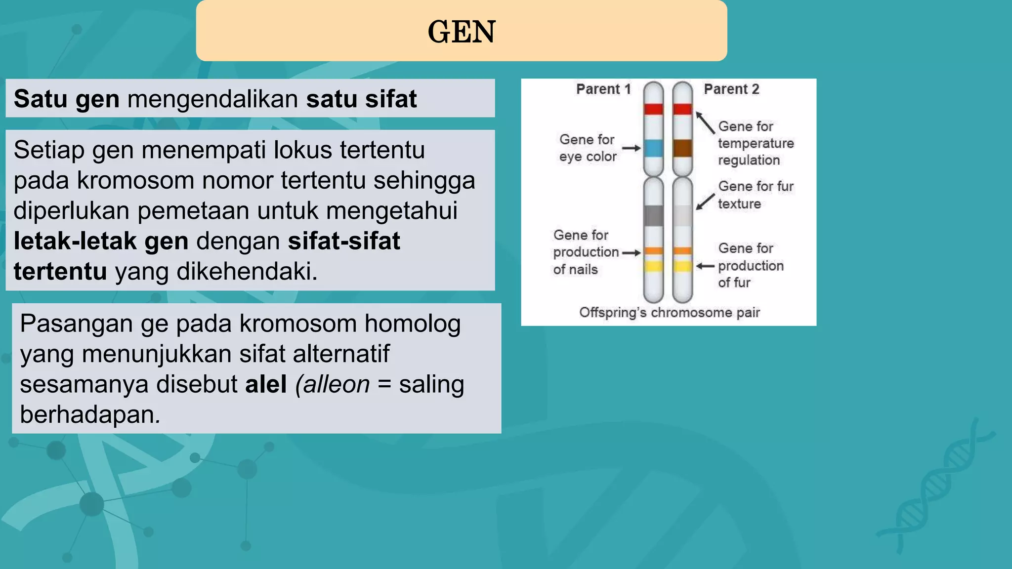PPT 1_DNA, gen, dan kromosom (1).pptx
