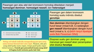 PPT 1_DNA, gen, dan kromosom (1).pptx