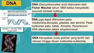 PPT 1_DNA, gen, dan kromosom (1).pptx