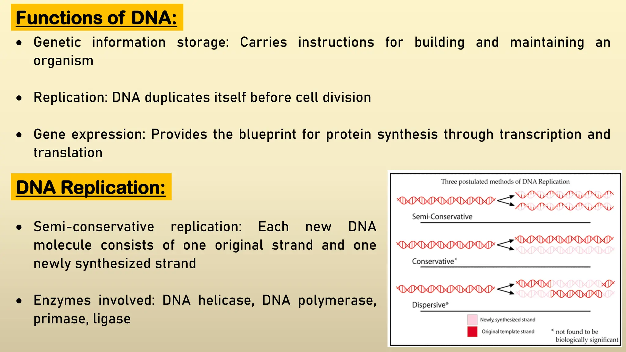 DNA genetic material | PDF