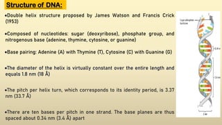 DNA genetic material | PPT