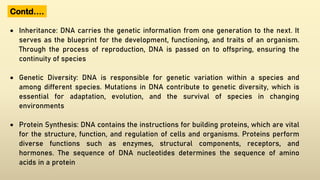 DNA genetic material | PDF