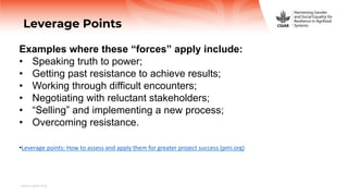Lever points for gender norms in fisheries value chain | PDF