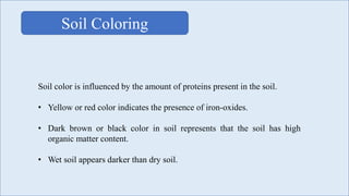 PPT_1_ Soil Color.pptx