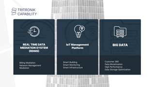 PPT 1 TRITONIK - Business Automation Solution v2.pdf