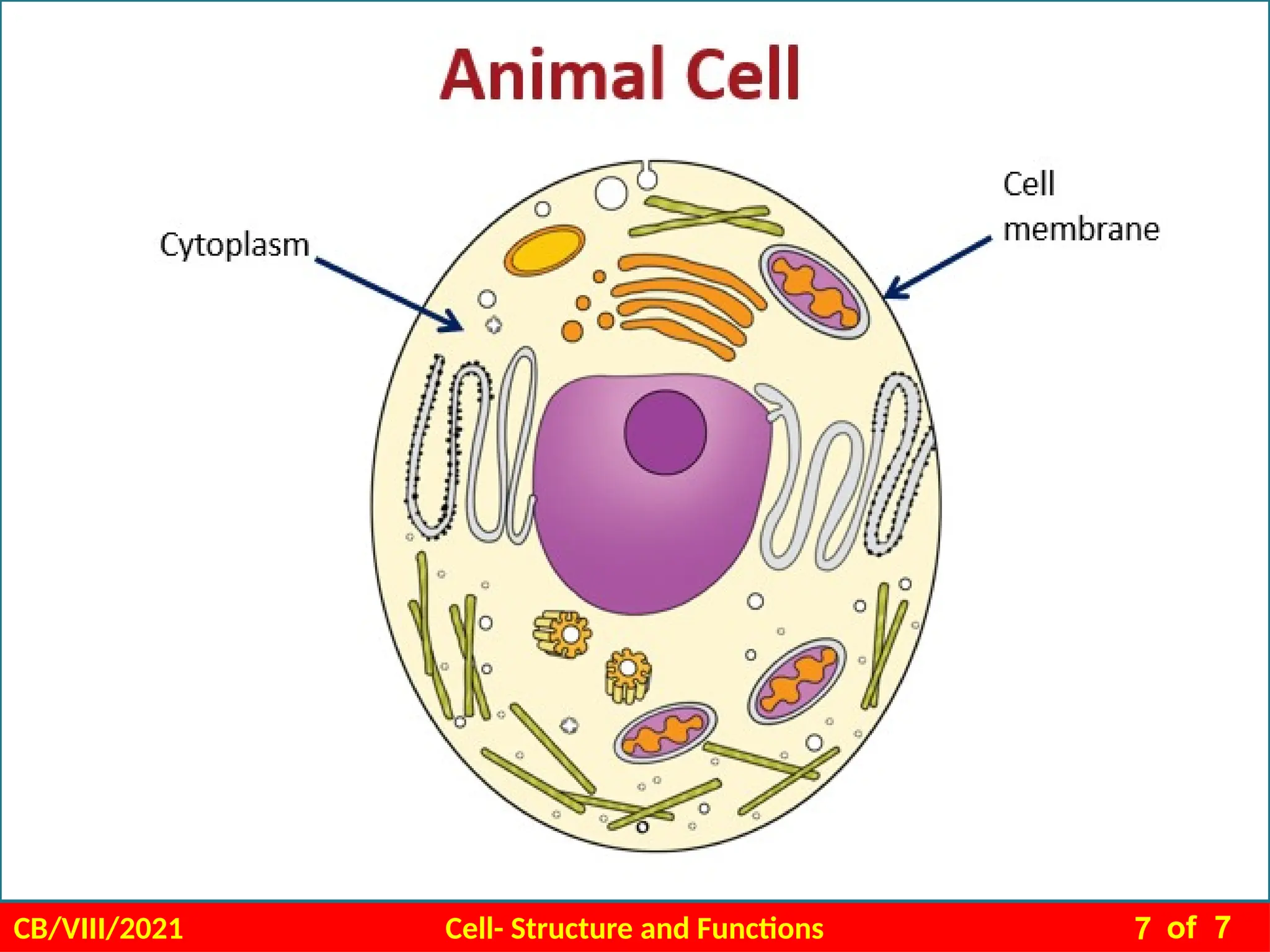 PPT 1_VIII_Sci_Cell-Structure and Functions.pptx