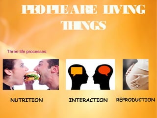 Life processes: People | ODP | Nutrition | Healthy Living