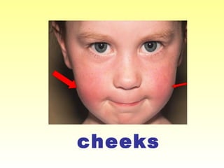 Ppt 2. Parts of the body Science 1º Primaria | PPT | Makeup and ...