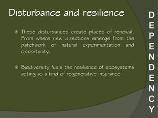 Ecology and Environment- A Comprehensive Relationship | PDF