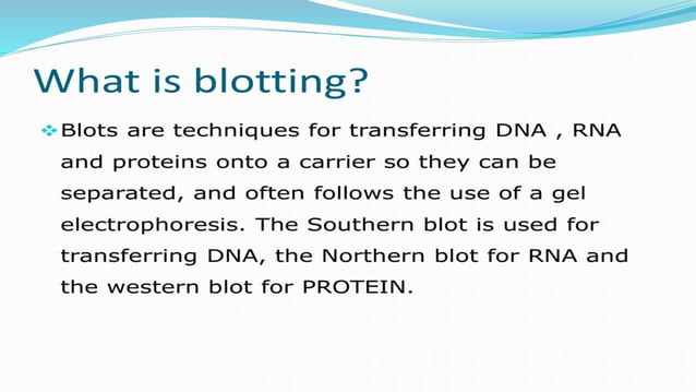 blotting techniques | PPTX