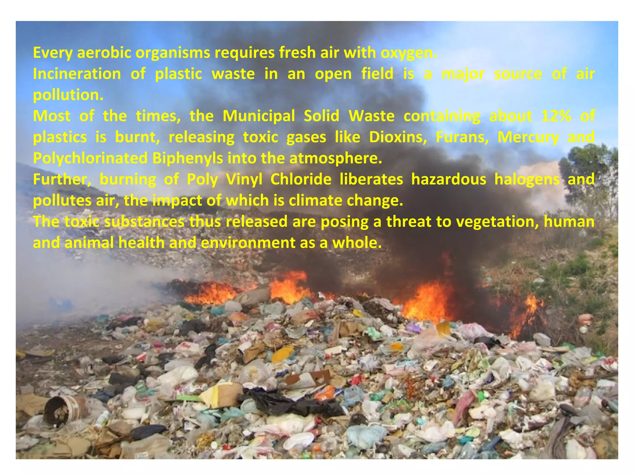 beat plastic pollution Ppt (2) | PPT