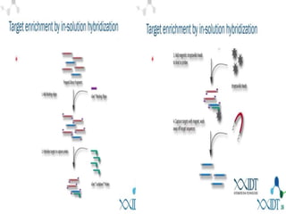 research paper presentation: HYBRID CAPTURE BASED NGS FOR GENOMIC ...