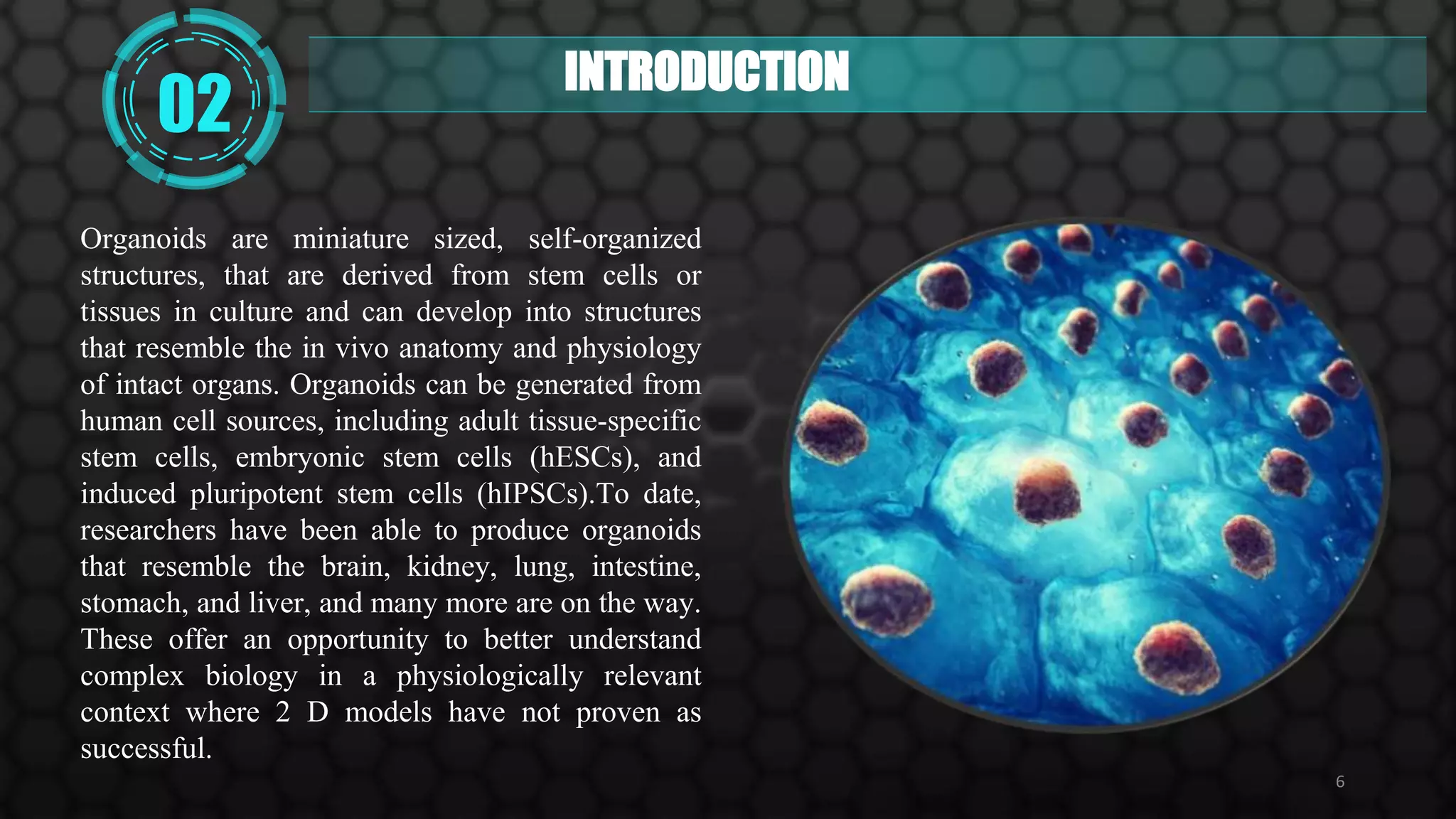 Human Organoids | PPTX