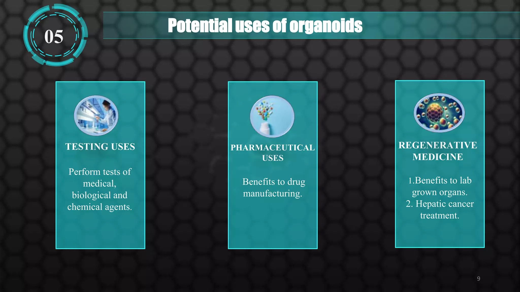 Human Organoids | PPTX
