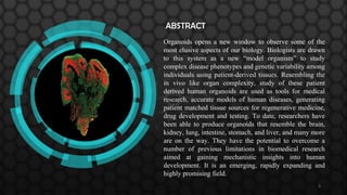 Human Organoids | PPTX