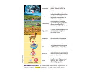 PPT2.1 Ecology and Ecosystem.ppt