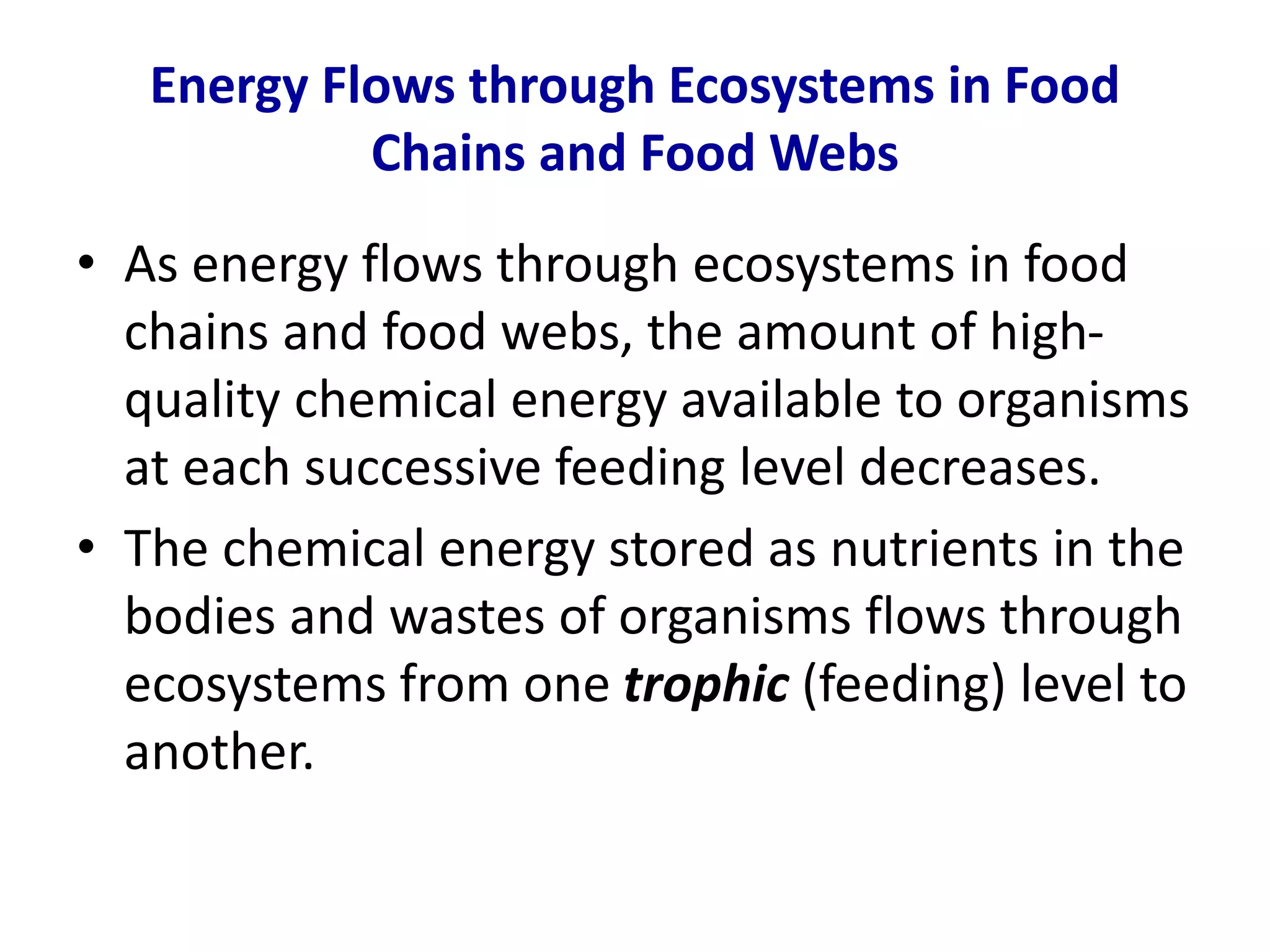 PPT2.3 Food chains food web.ppt