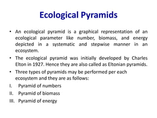 PPT2.3 Food chains food web.ppt