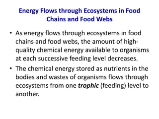PPT2.3 Food chains food web.ppt