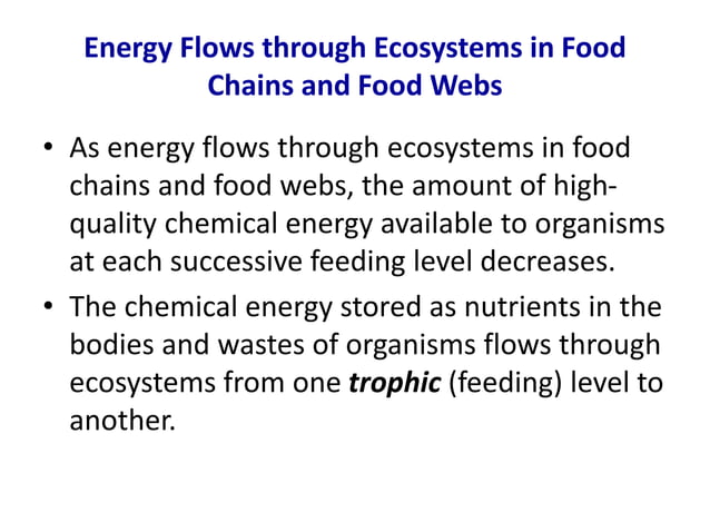 PPT2.3 Food chains food web.ppt