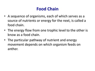 PPT2.3 Food chains food web.ppt