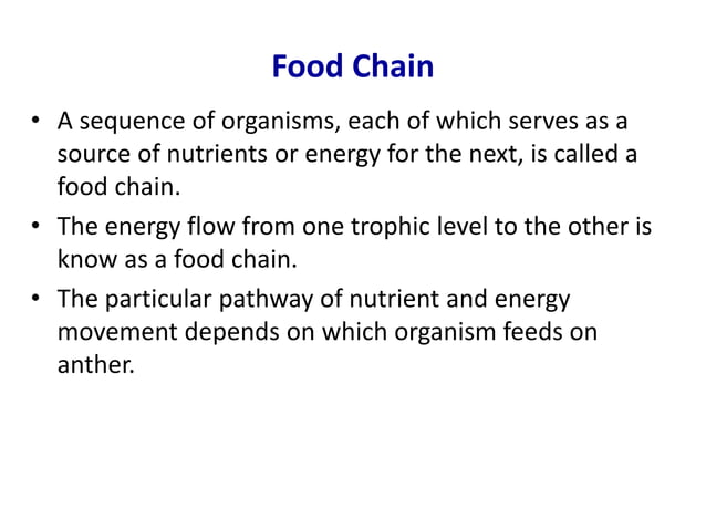PPT2.3 Food chains food web.ppt