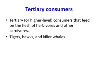 PPT2.2 Producers, consumers and decomposers.pptx