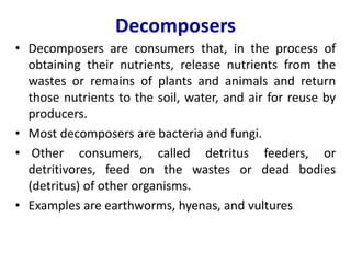 PPT2.2 Producers, consumers and decomposers.pptx