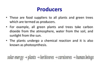 PPT2.2 Producers, consumers and decomposers.pptx