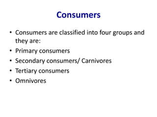 PPT2.2 Producers, consumers and decomposers.pptx