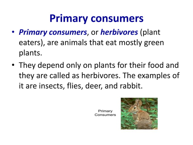 PPT2.2 Producers, consumers and decomposers.pptx | Vegetarian Diets ...