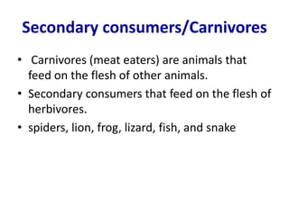 PPT2.2 Producers, consumers and decomposers.pptx