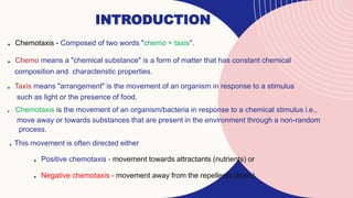 Bacterial chemotaxis and application by md saqlain umar.pptx