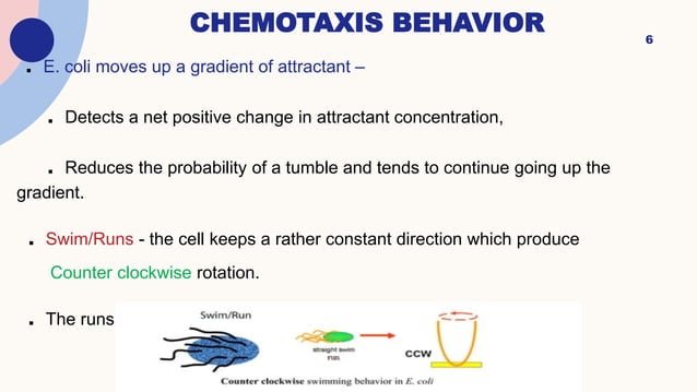 Bacterial chemotaxis and application by md saqlain umar.pptx ...
