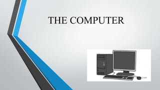 Introduction to The Computer in detail .pdf