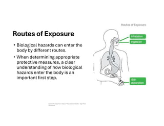 Environmental Health Hazards-Types of hazards | PDF