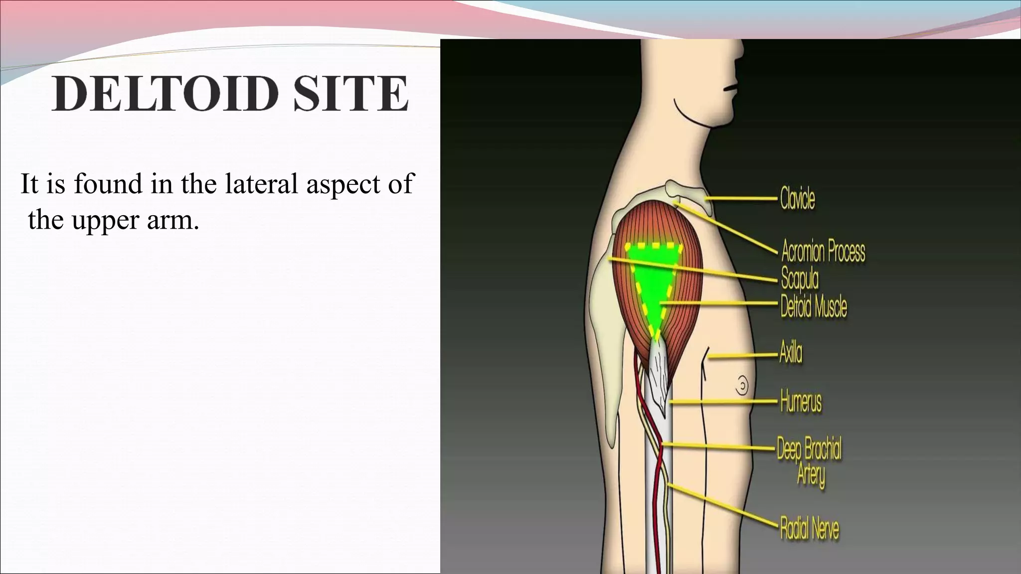 INTRAMUSCULAR INJECTION | PPT