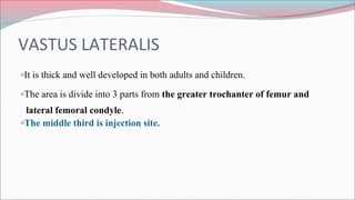 INTRAMUSCULAR INJECTION | PPT