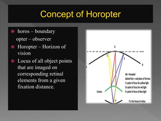 Simultaneous Macular Perception -Nayana | PPTX