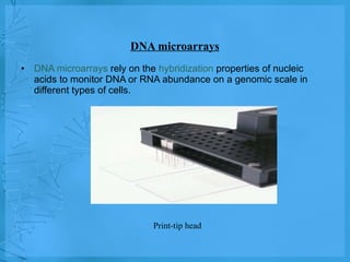 PROKARYOTIC TRANSCRIPTOMICS AND METAGENOMICS | PPT