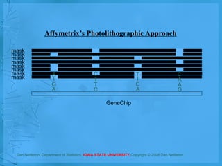 PROKARYOTIC TRANSCRIPTOMICS AND METAGENOMICS | PPT