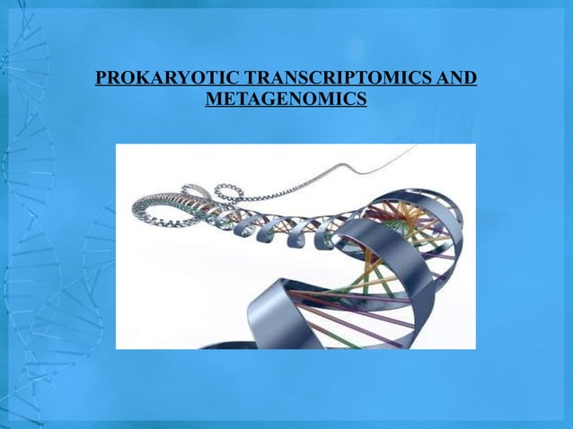 PROKARYOTIC TRANSCRIPTOMICS AND METAGENOMICS | PPT | Biotech and ...
