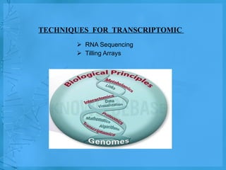 PROKARYOTIC TRANSCRIPTOMICS AND METAGENOMICS | PPT