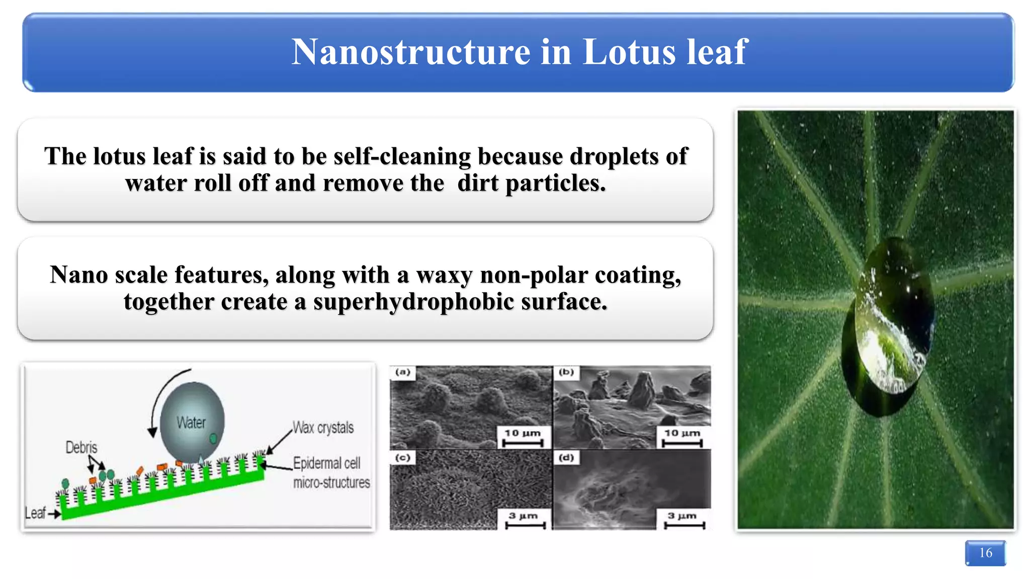 Nanotechnology and its Applications in Agriculture | PPTX
